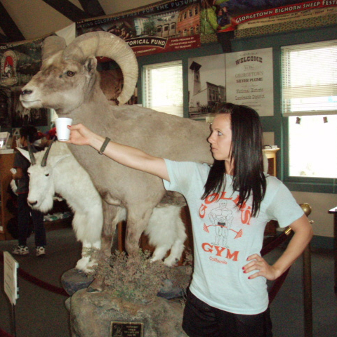 Athlete: Jessica Strickler | CrossFit Games