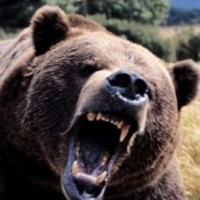 Athlete: Andrew Baranowski | CrossFit Games