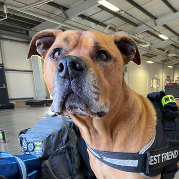 Athlete: Andrew Birchall | CrossFit Games