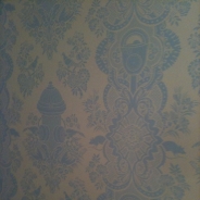 Athlete: Jay Maroney | CrossFit Games