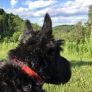 Athlete: Jason Sweet | CrossFit Games