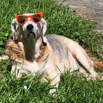 Athlete: Aaron Runzel | CrossFit Games