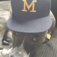 Athlete: Nick Ostergaard | CrossFit Games