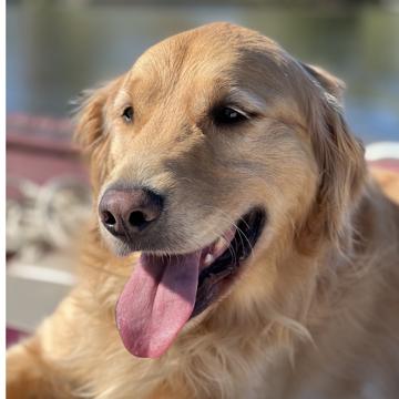 Affiliate: CrossFit Enforce | CrossFit Games