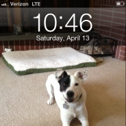 Athlete: Chance Heinz | CrossFit Games