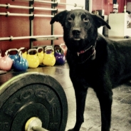 Athlete: April Verlo | CrossFit Games