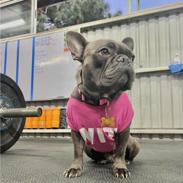 Athlete: Dany Blanco | CrossFit Games