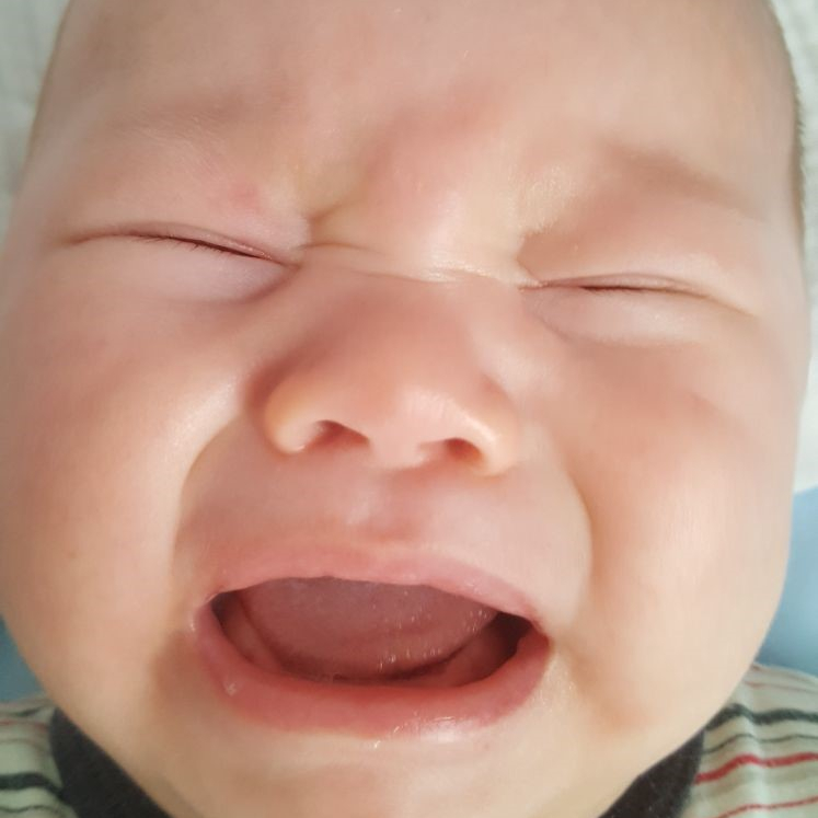 Athlete: Gavin Ma | CrossFit Games